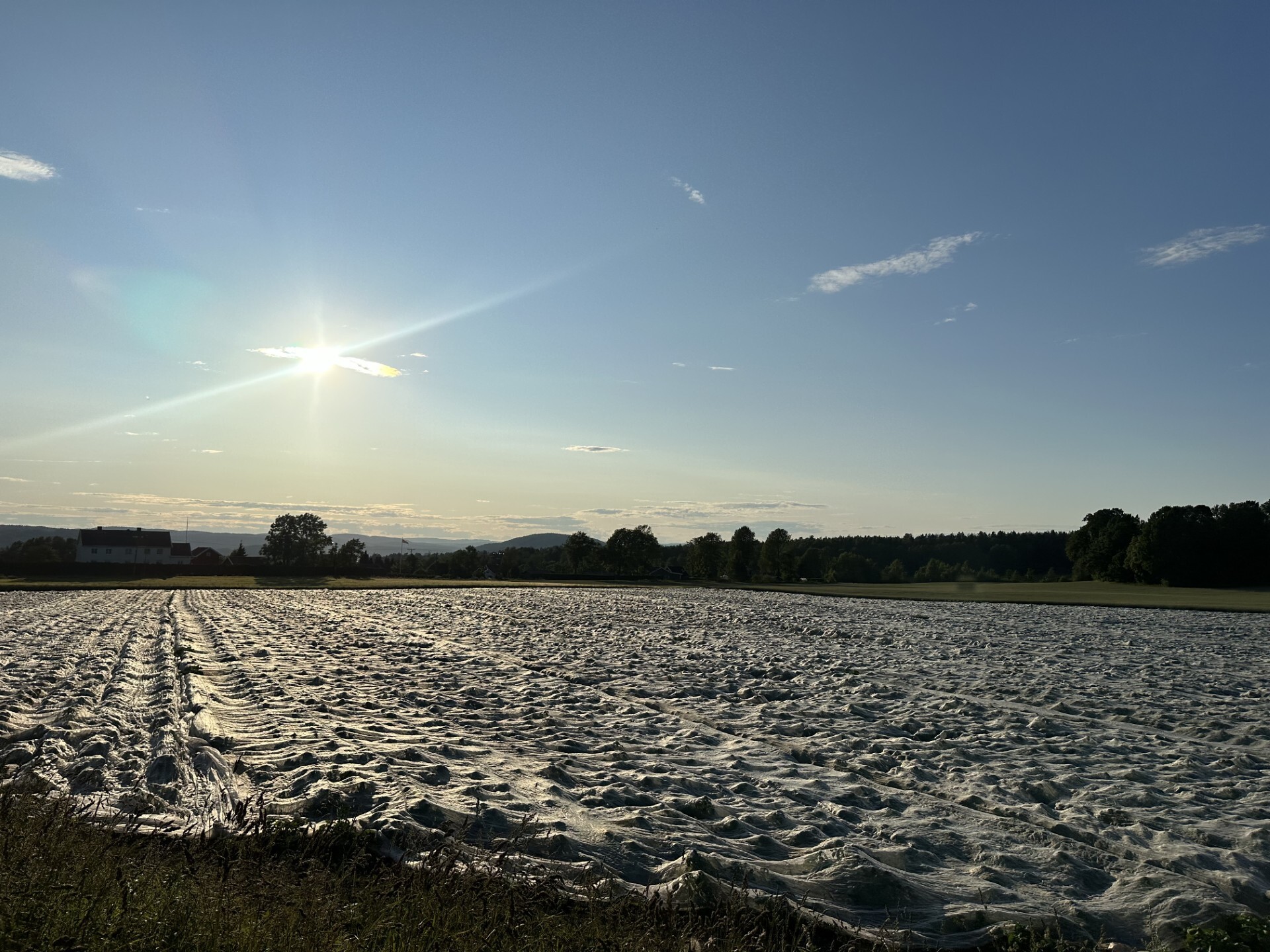 Landbruksplast og Norsirk